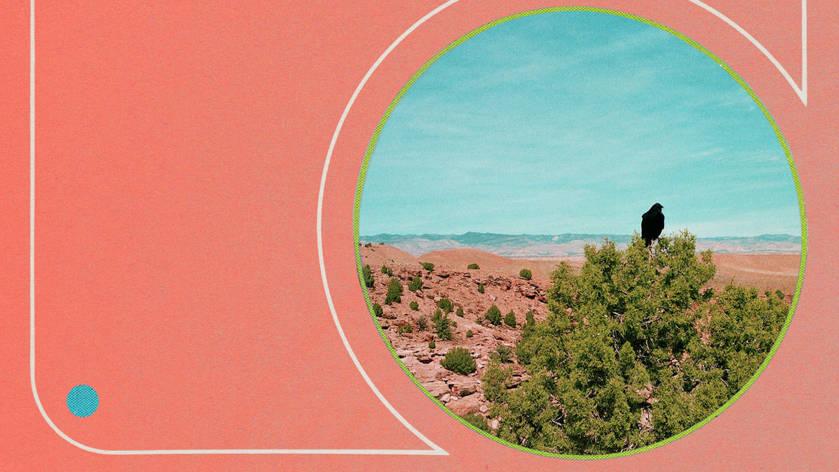 Mejiwahn, Juuwah, Daniel Bitrán – Spring – The Predatory Wasp