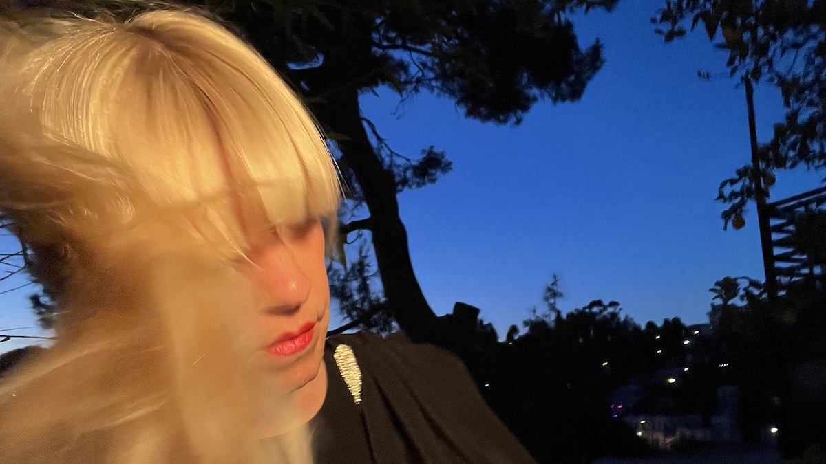 Corrina Repp – Bumble Bee Crown King – The Predatory Wasp
